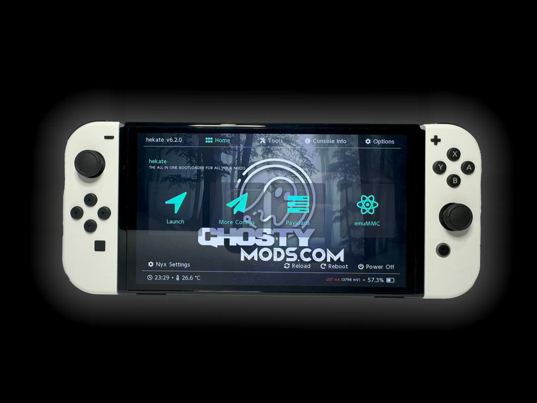 Custom Nintendo Switch Consoles – Ghosty Mods